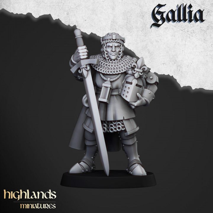 Knights of Gallia on Foot - Atomic 3D