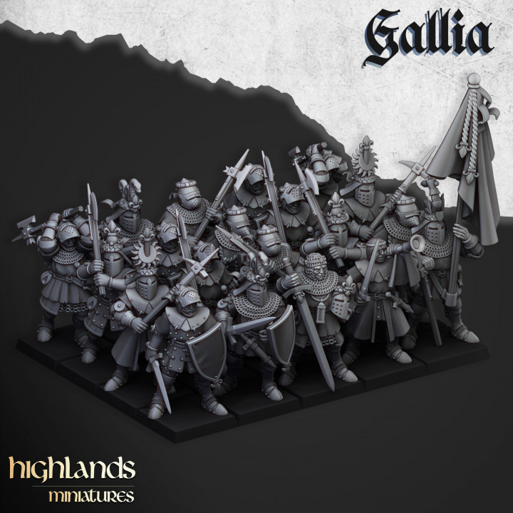 Knights of Gallia on Foot - Atomic 3D